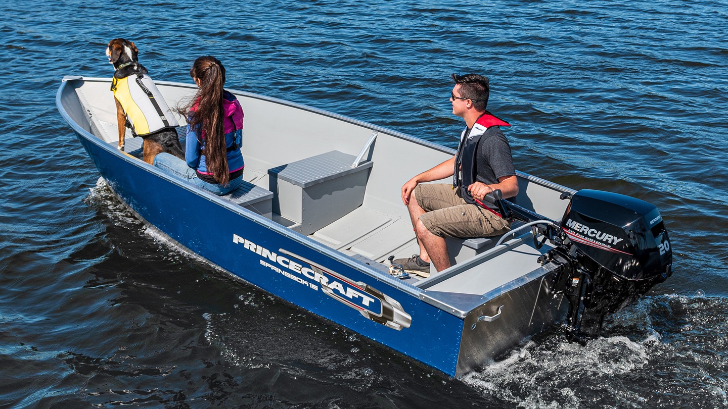 Springbok® 16 L WT (2021) - Fishing Boats - Princecraft®