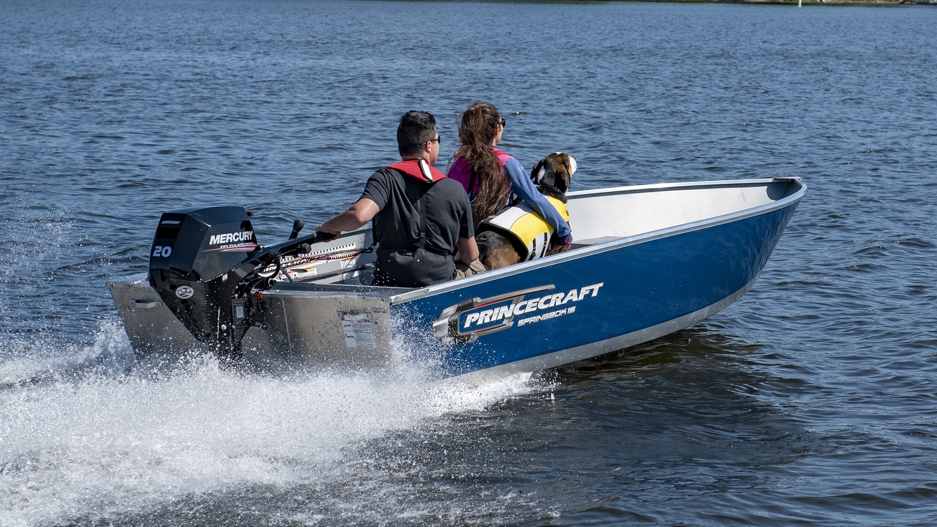 Springbok® 16 L WT (2021) - Fishing Boats - Princecraft®